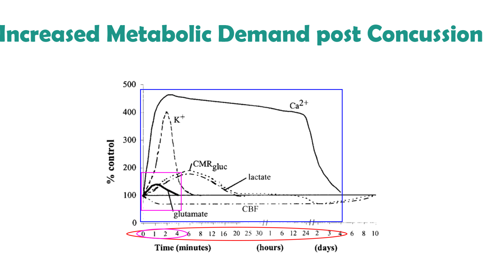 Neurofeedback for Rehabilitation, Concussion, TBI, Stroke, Brain Damage ...