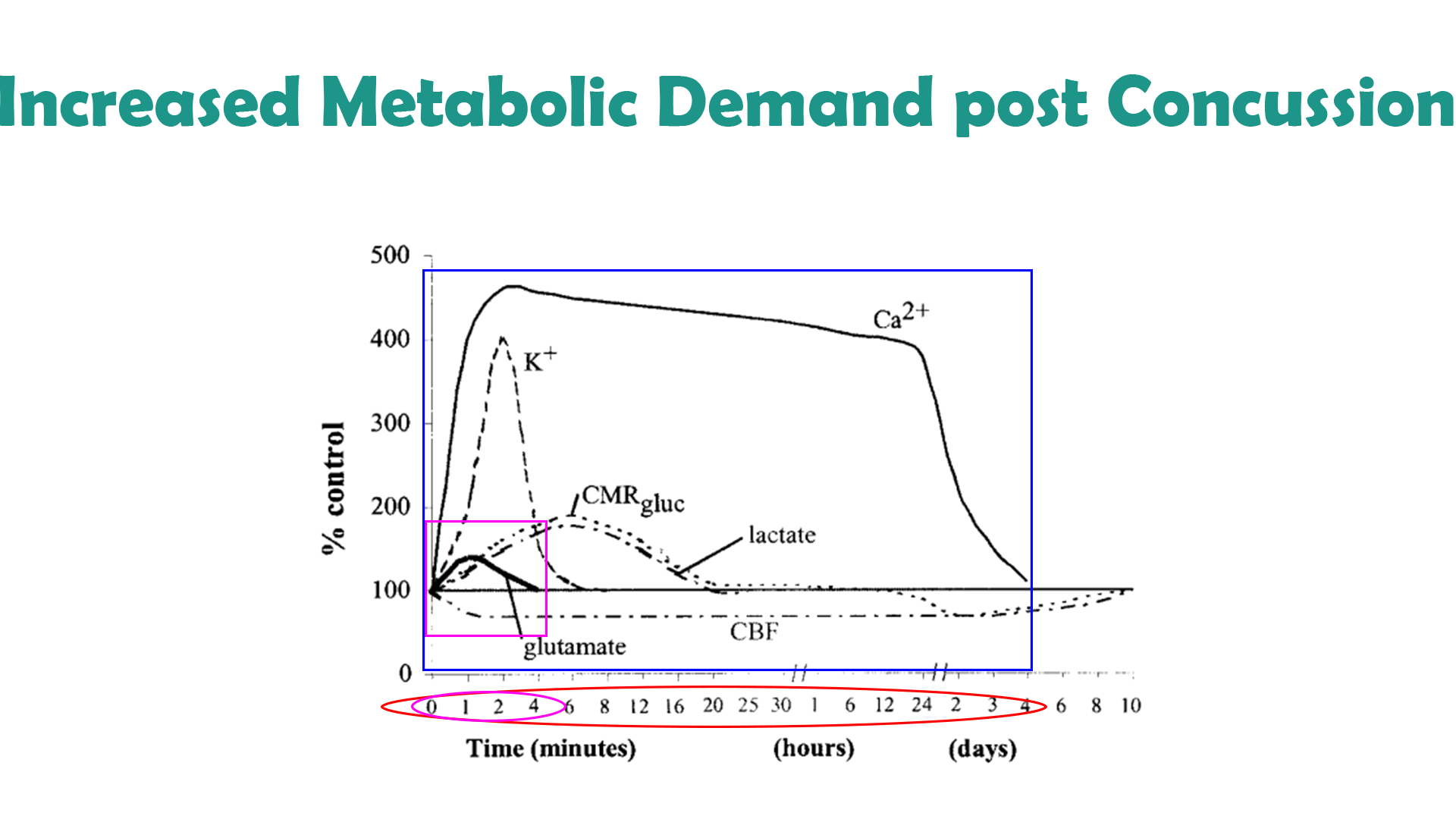 Neurofeedback for Rehabilitation, Concussion, TBI, Stroke, Brain Damage ...